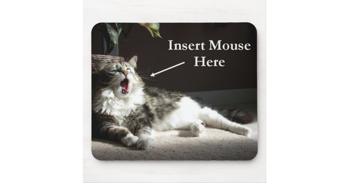 Insert Mouse Here Mousepad | Zazzle