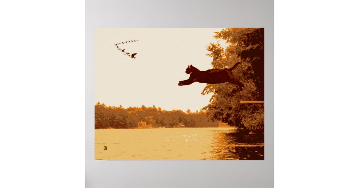 Inspiration Cat Poster | Zazzle