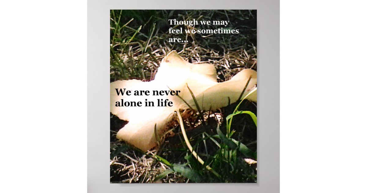 Inspiration Through Nature Poster | Zazzle