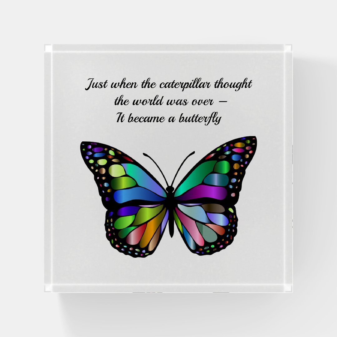 Inspirational Butterfly Quote Paperweight | Zazzle