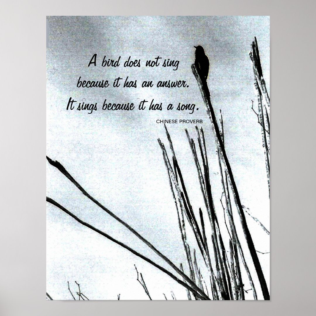 Inspirational Chinese Proverb Poster | Zazzle