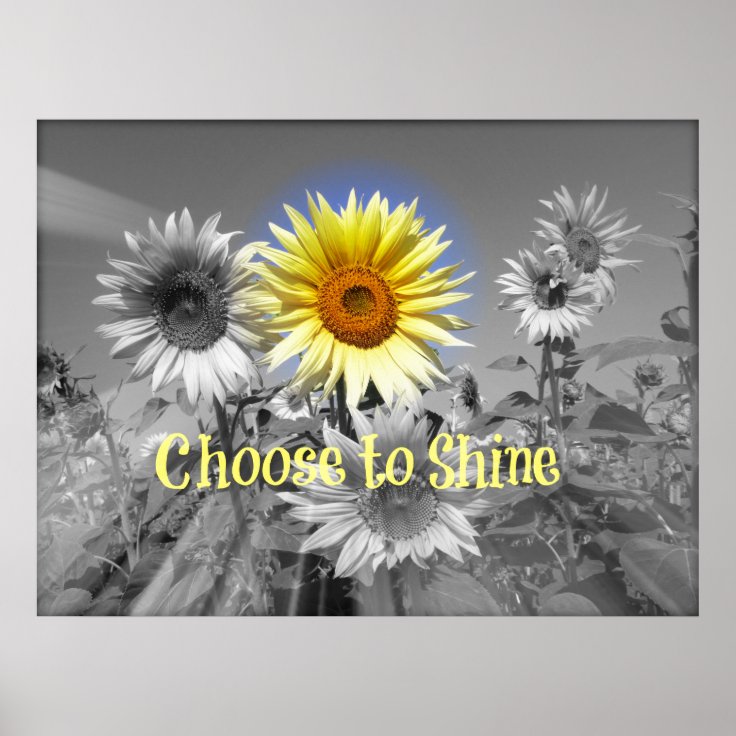 Inspirational Choose to Shine Quote with Sunflower Poster | Zazzle