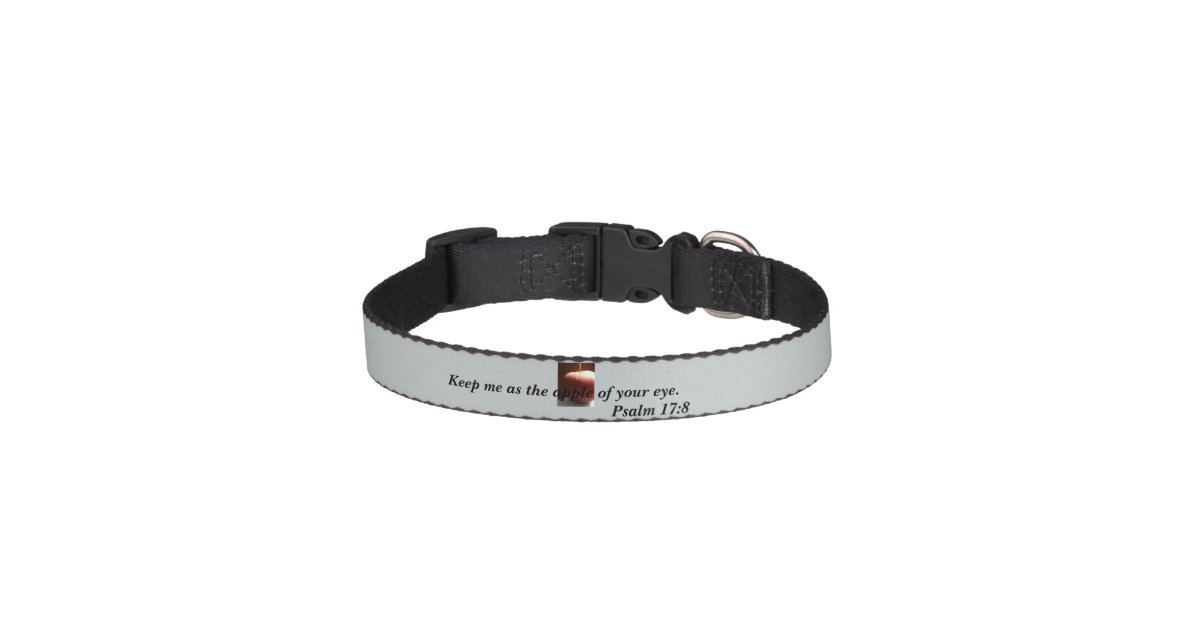 Inspirational Christian Dog Collar | Zazzle