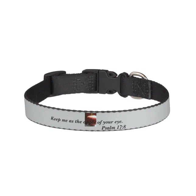 Inspirational Christian Dog Collar | Zazzle