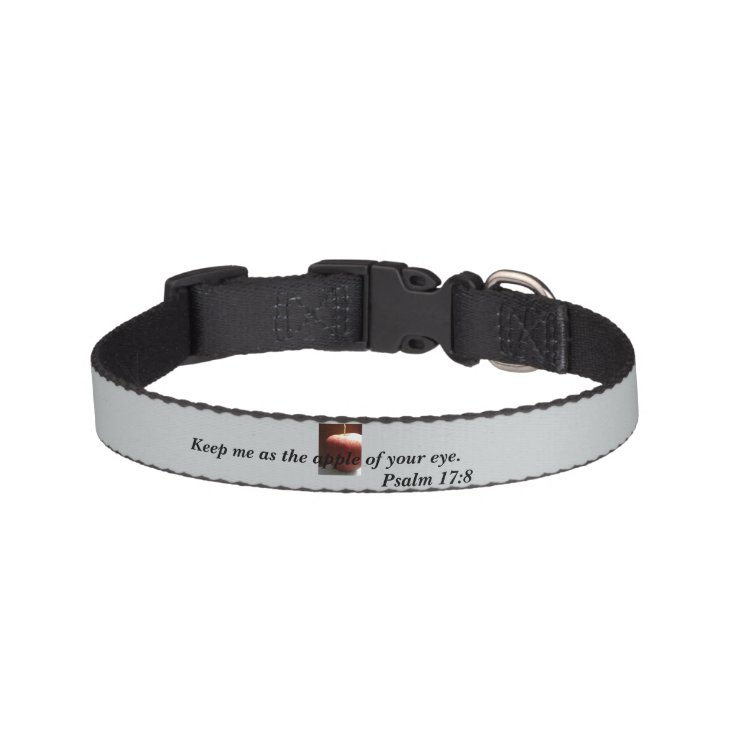 Inspirational Christian Dog Collar | Zazzle