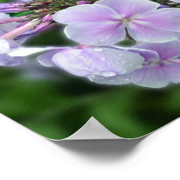 Inspirational Hydrangea Floral Quote Poster | Zazzle