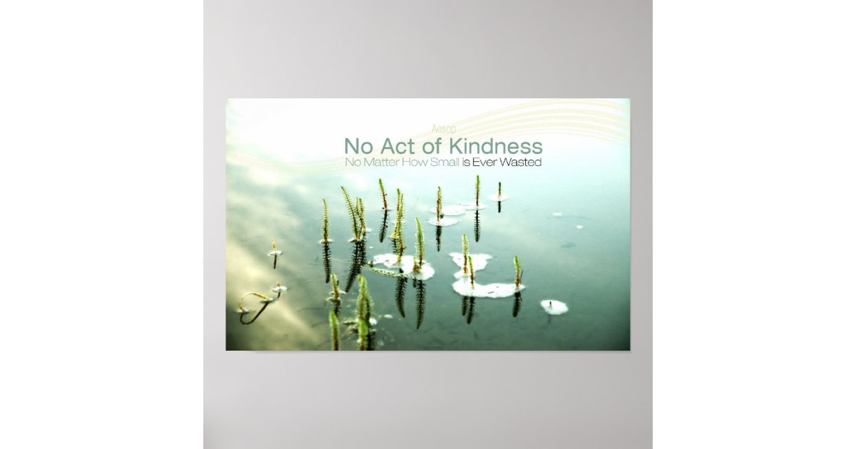 Inspirational Kindness Quote by Aesop Poster | Zazzle
