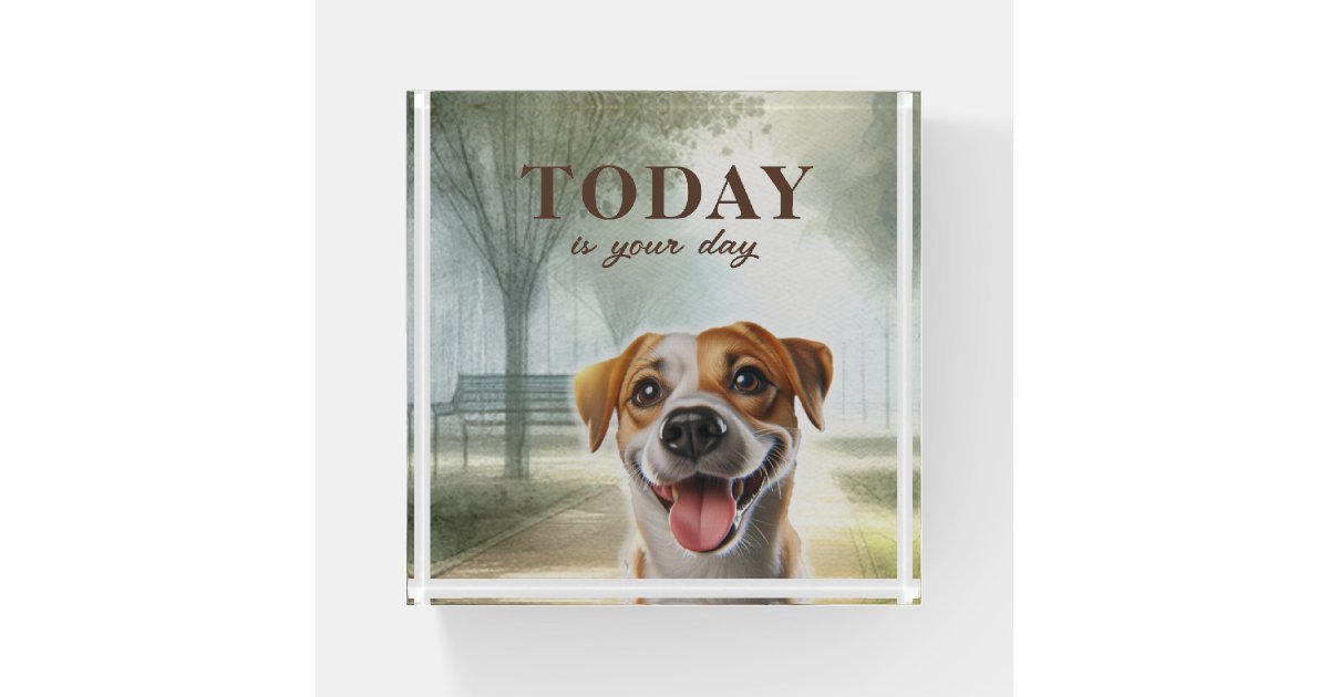 Inspirational Motivation Paperweight | Zazzle