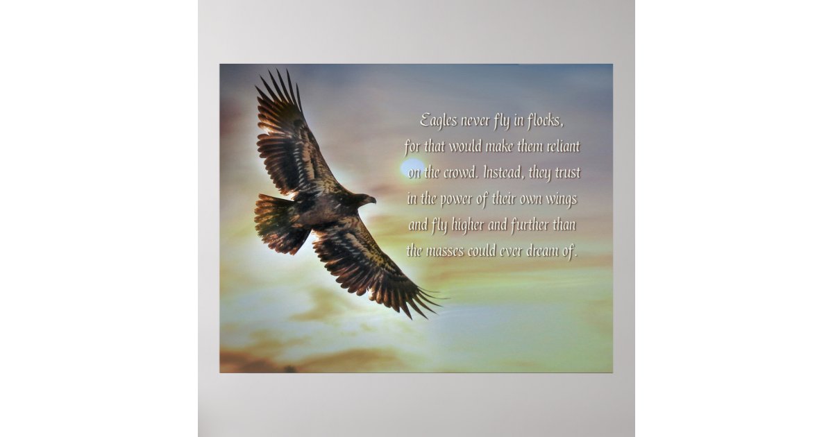 Inspirational Motivational Eagle Flying High Poster | Zazzle