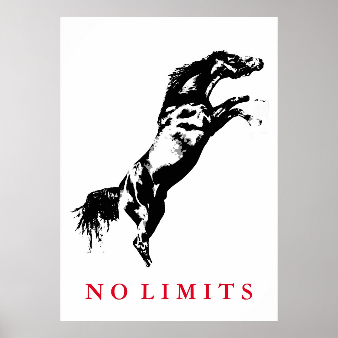 Inspirational No Limits Black White Horse Artwork Poster | Zazzle