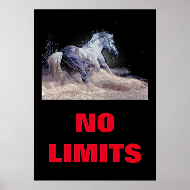 Inspirational No Limits Horse Motivational Poster | Zazzle