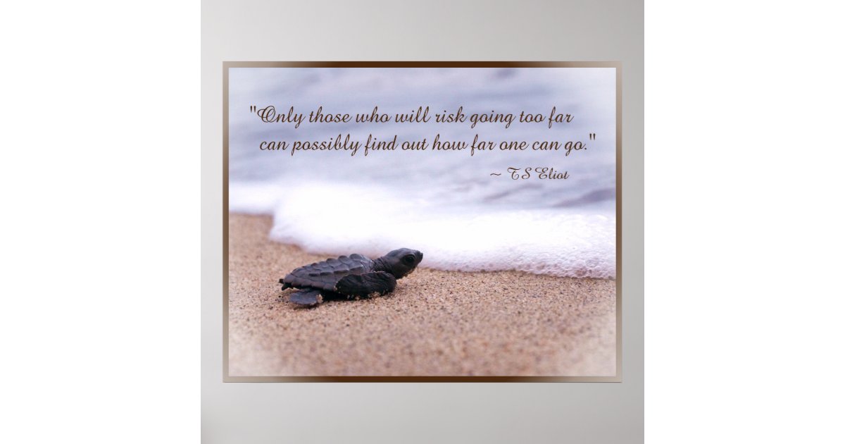 Inspirational Quote Baby Sea Turtle Sand Ocean Poster | Zazzle