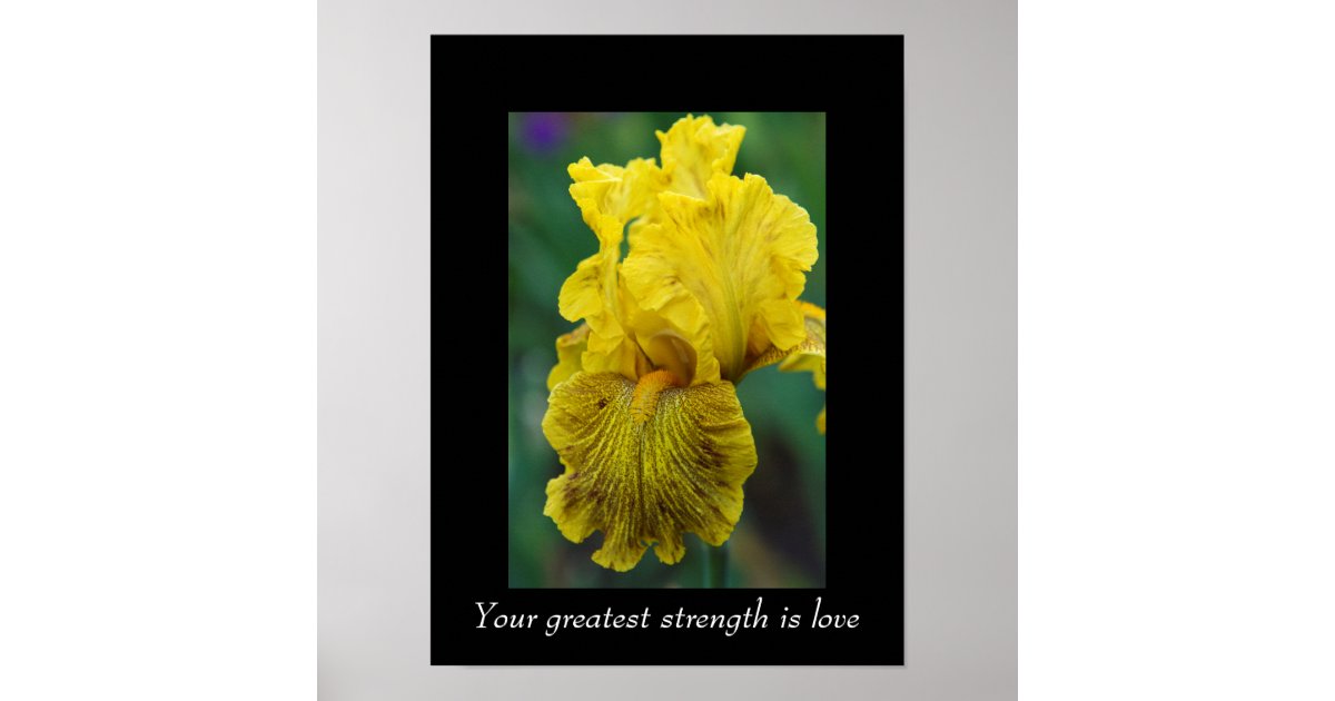 Inspirational Quote Iris Flower Poster | Zazzle