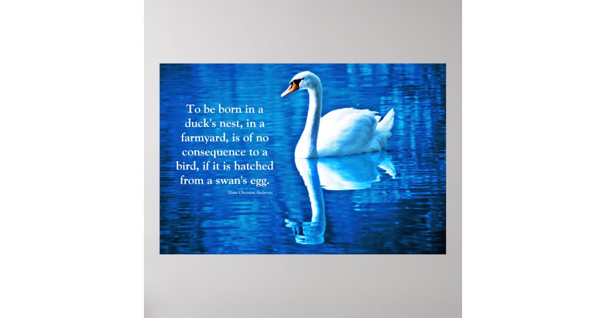 Inspirational Quote Swan Reflection Blue & White Poster | Zazzle.com
