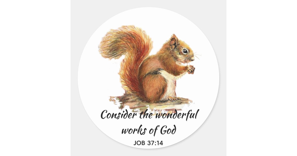 Inspirational Scripture Quote Squirrel Art Classic Round Sticker | Zazzle