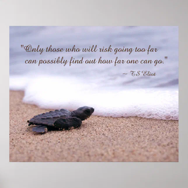 Inspiring Quote Baby Sea Turtle Sand Ocean Poster | Zazzle