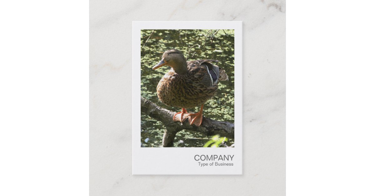 Instant Photo 010 - Happy Duck Business Card | Zazzle