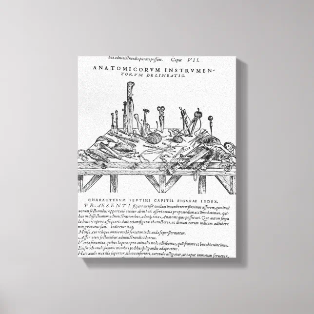 Instruments for Dissections, illustration from 'De Canvas Print | Zazzle