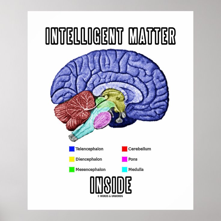 Intelligent Matter Inside (Anatomical Brain Humor) Poster | Zazzle