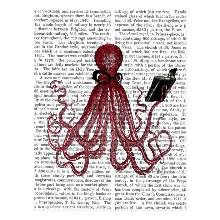 Intelligent Octopus Postcard | Zazzle.com