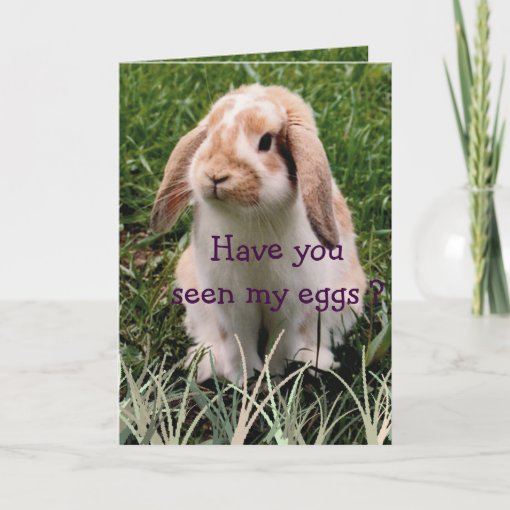 Interaction Card | Zazzle