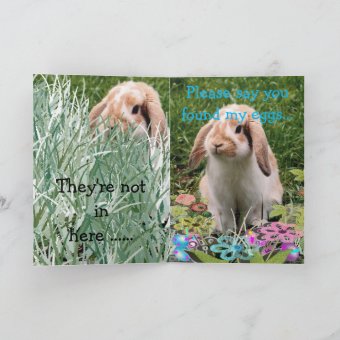 Interaction Card | Zazzle