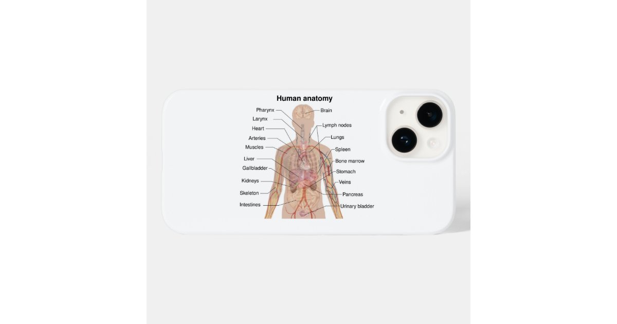 Internal Organs Human Body Anatomy Chart Case-Mate iPhone Case | Zazzle