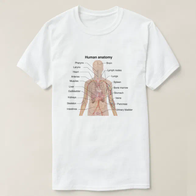 Internal Organs Human Body Anatomy Chart T-Shirt | Zazzle