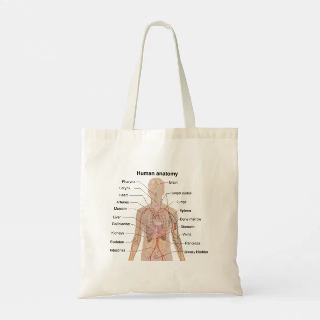 Internal Organs Human Body Anatomy Chart Tote Bag | Zazzle