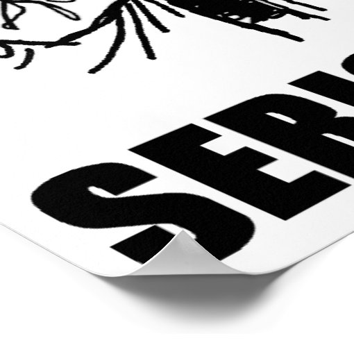 Internet Serious Business Poster | Zazzle