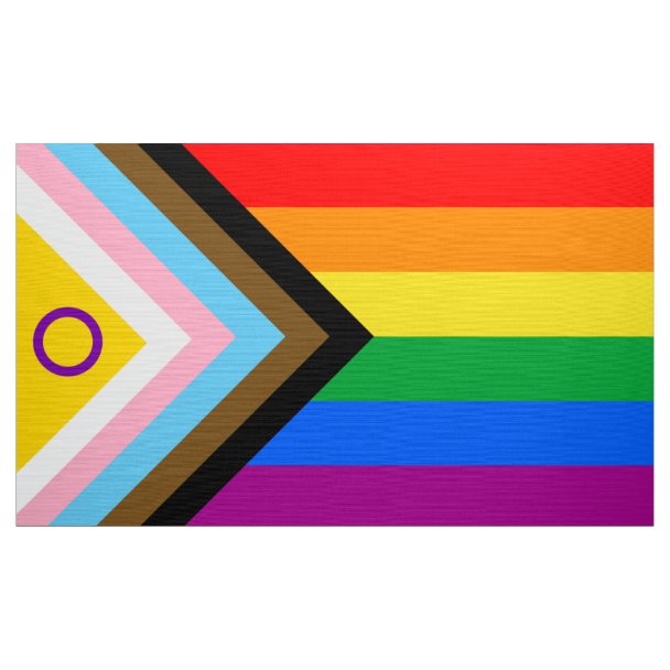 Everyone is Welcome Here (Progress Pride) Flag Fabric | Zazzle