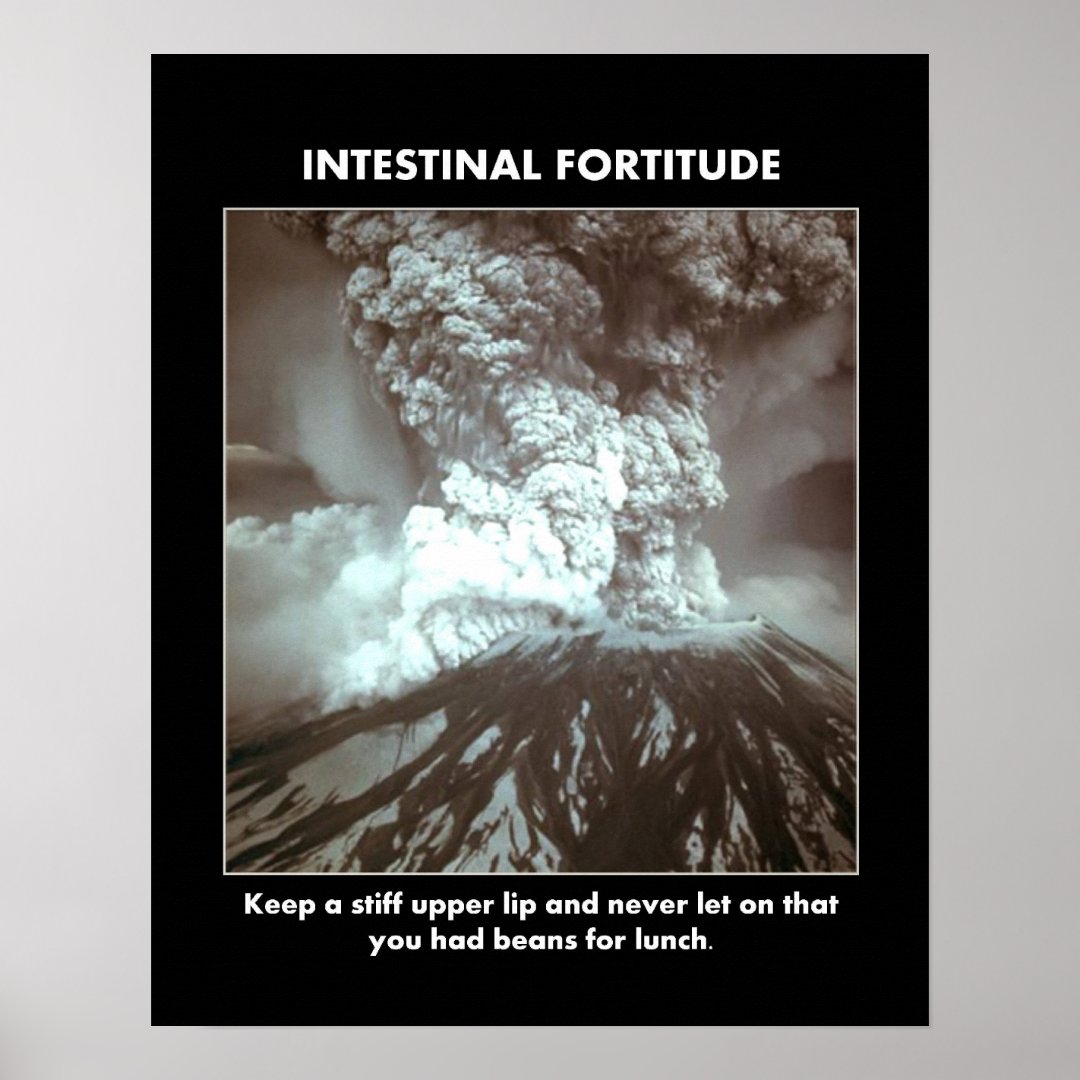 intestinal-fortitude-keep-a-stiff-upper-lip poster | Zazzle