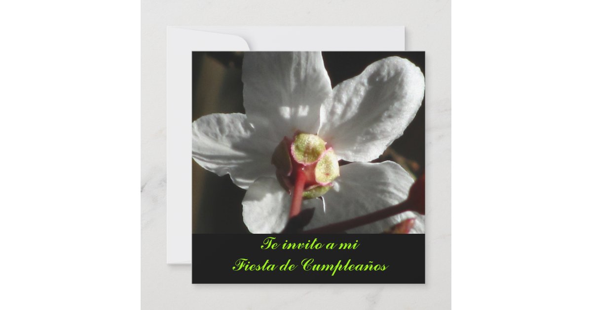 Invitación - Te invito a mi Fiesta de Cumpleaños Invitation | Zazzle