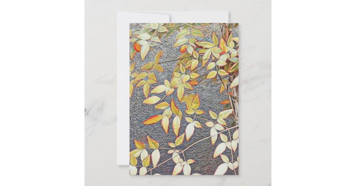 Invitation cards / | Zazzle