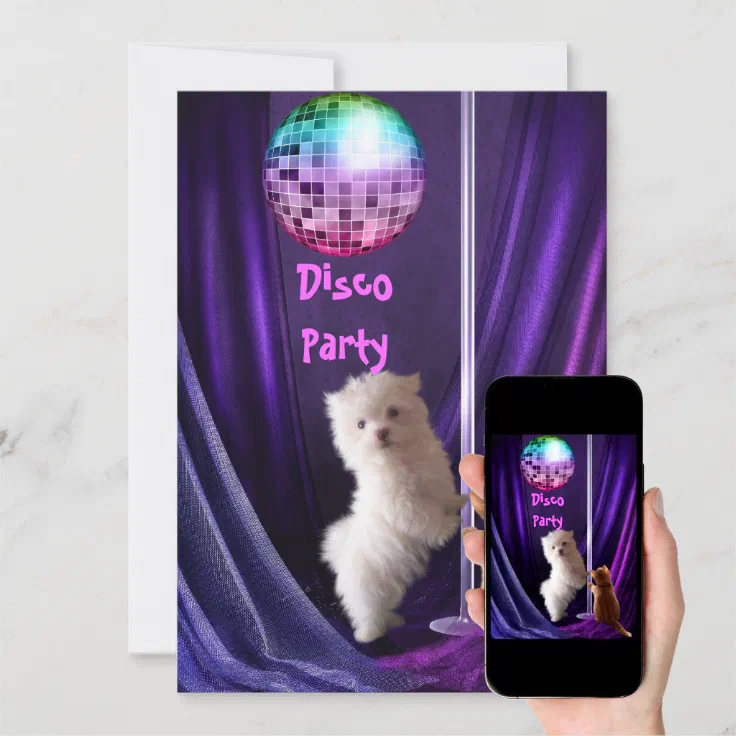 Invitation Disco Party Dog Cat Maltese Puppy | Zazzle