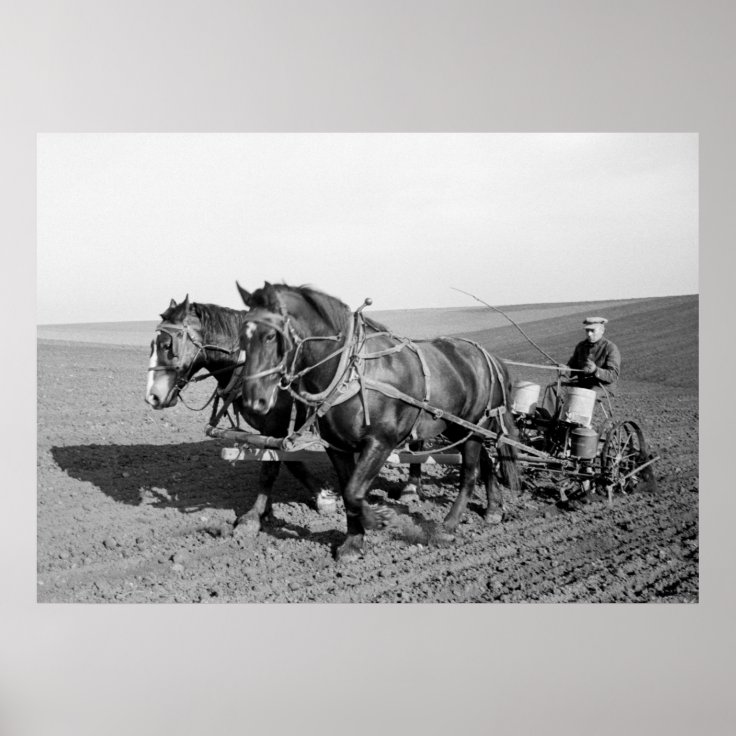 Iowa Corn Planter, 1940s Poster | Zazzle