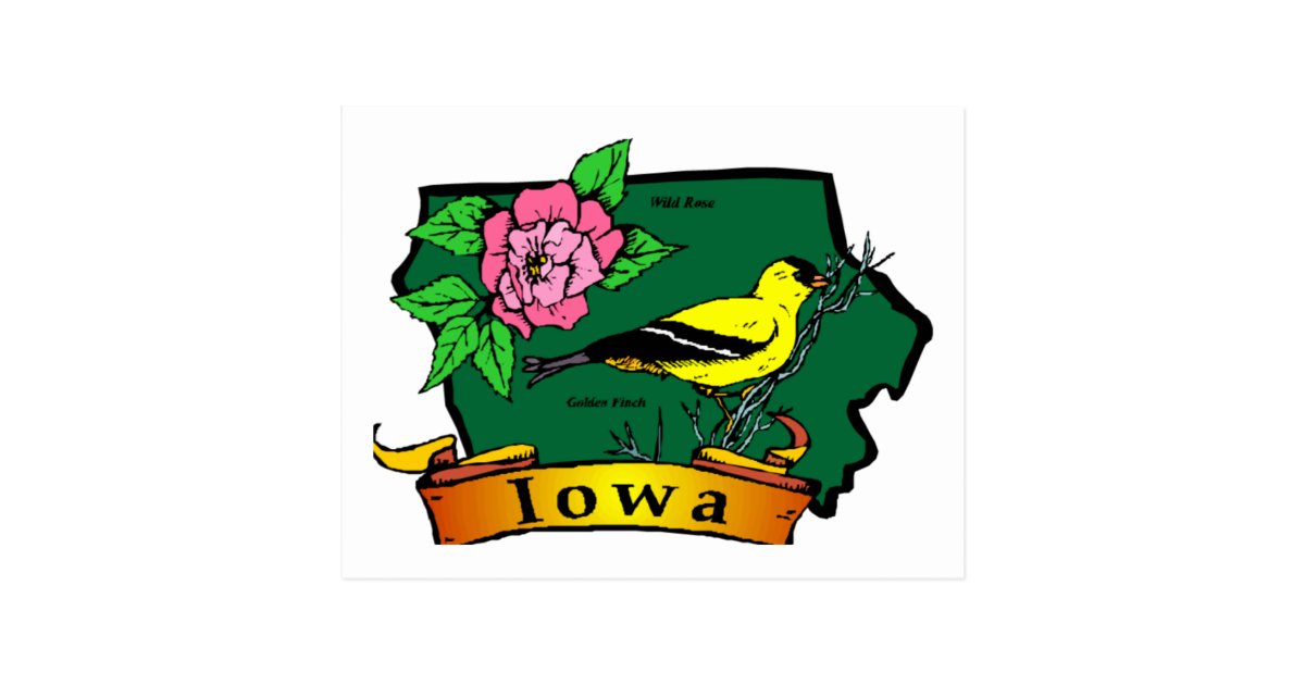 Iowa Map Postcard | Zazzle.com