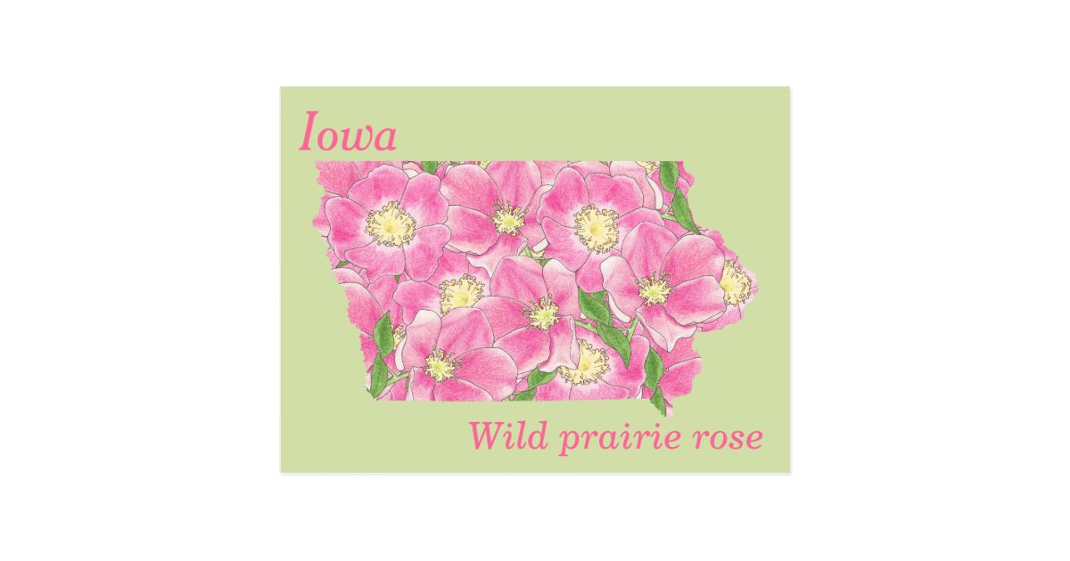 Iowa State Flower Collage Map Postcard | Zazzle.com