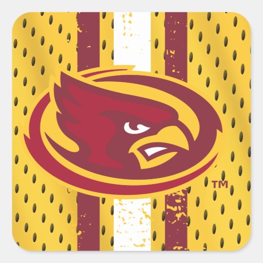 Iowa State University | Iowa Logo Jersey Pattern Square Sticker ...