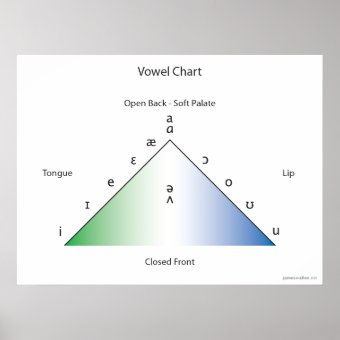 IPA vowel chart | Zazzle