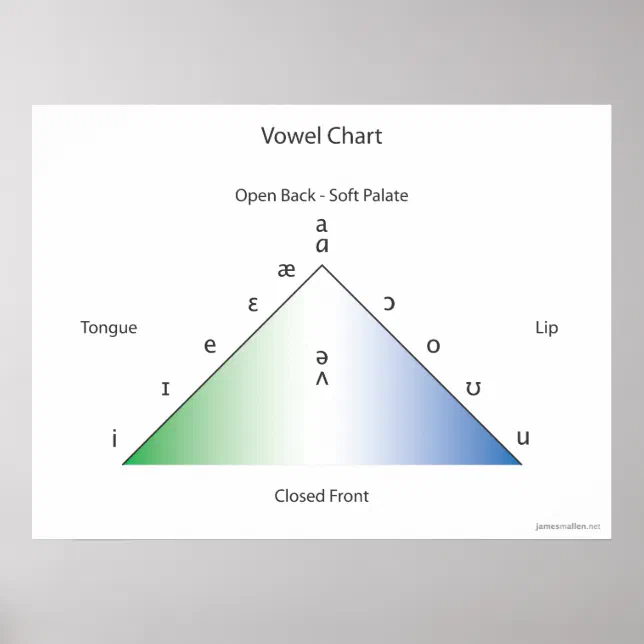 IPA vowel chart | Zazzle
