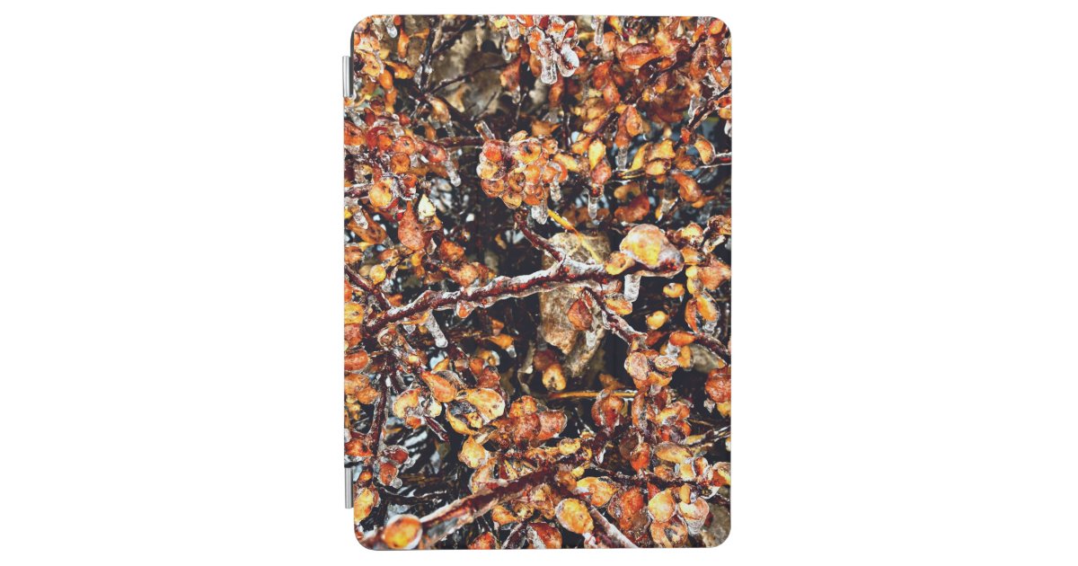 iPad Frozen Branch Cover | Zazzle