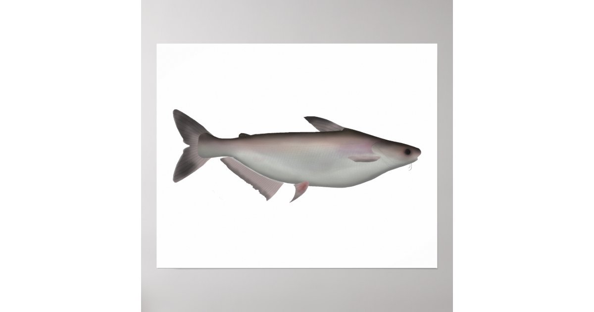 Iridescent Shark Poster | Zazzle