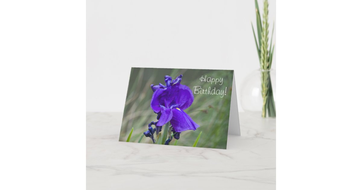 Iris Birthday Card | Zazzle