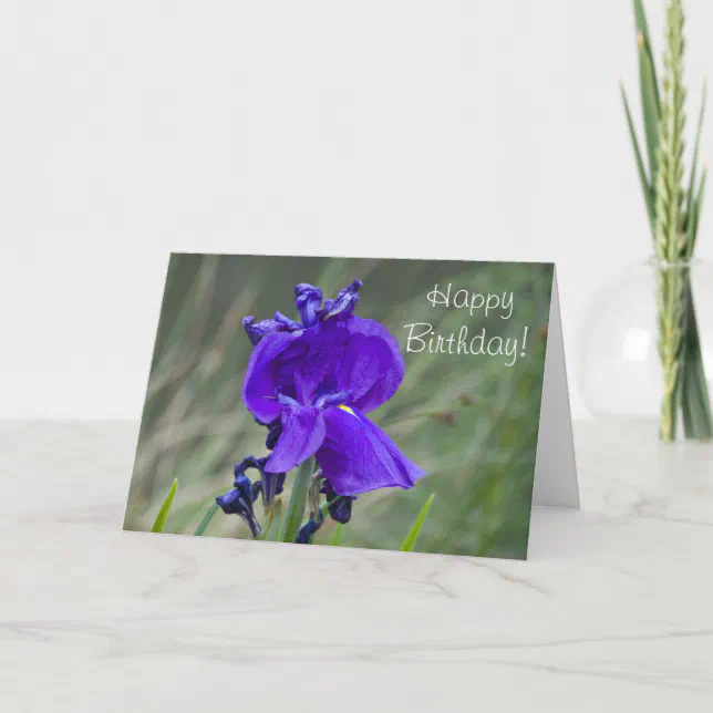 Iris Birthday Card | Zazzle