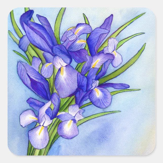 Iris Bouquet Flower Painting Sticker | Zazzle