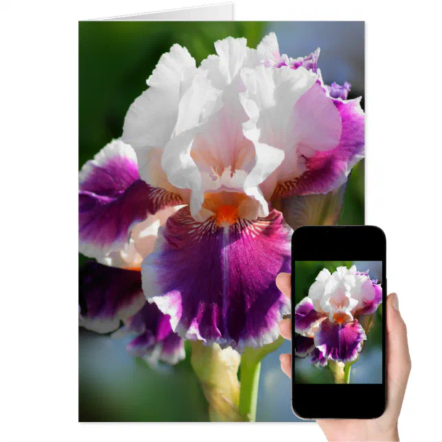Iris Card | Zazzle