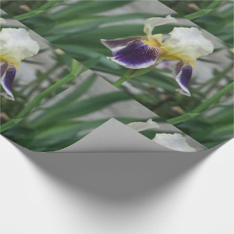 Iris Flower Photo Wrapping Paper | Zazzle