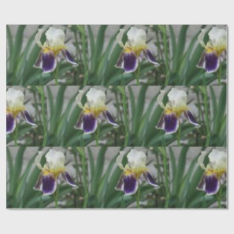 Iris Flower Photo Wrapping Paper | Zazzle