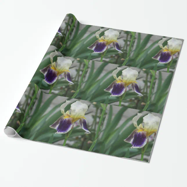 Iris Flower Photo Wrapping Paper | Zazzle